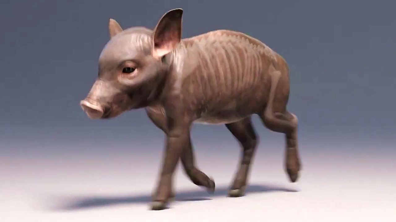 Automation of Creature FX in a Small Studio Pipeline | Bacon X