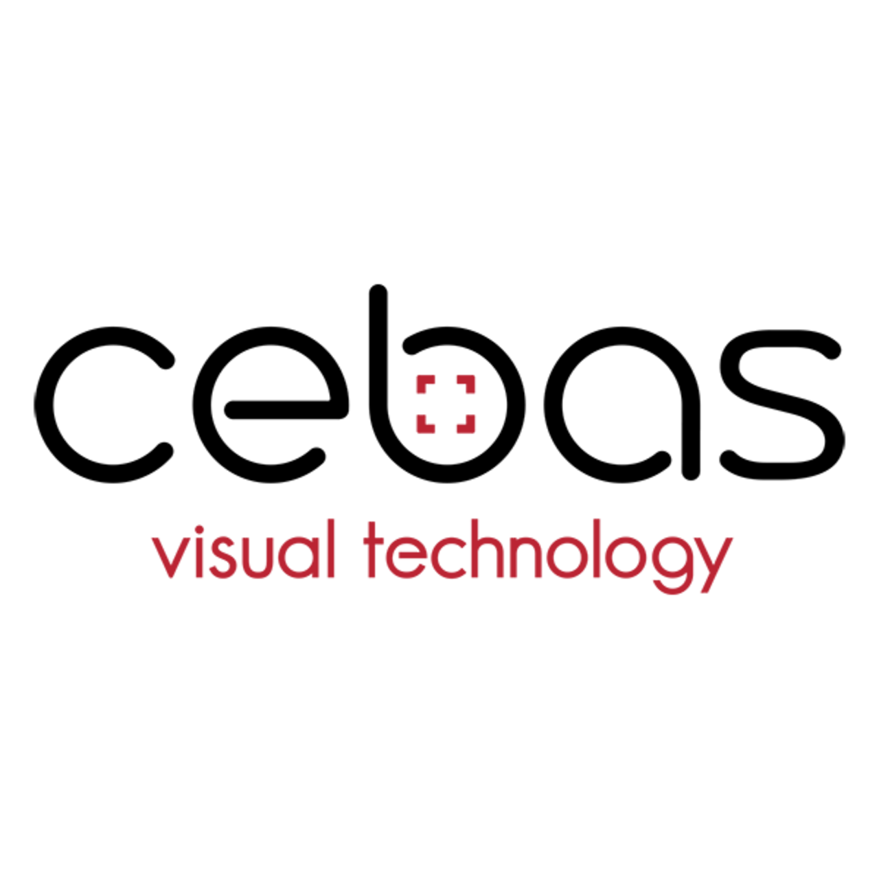 cebas Visual Technology Inc